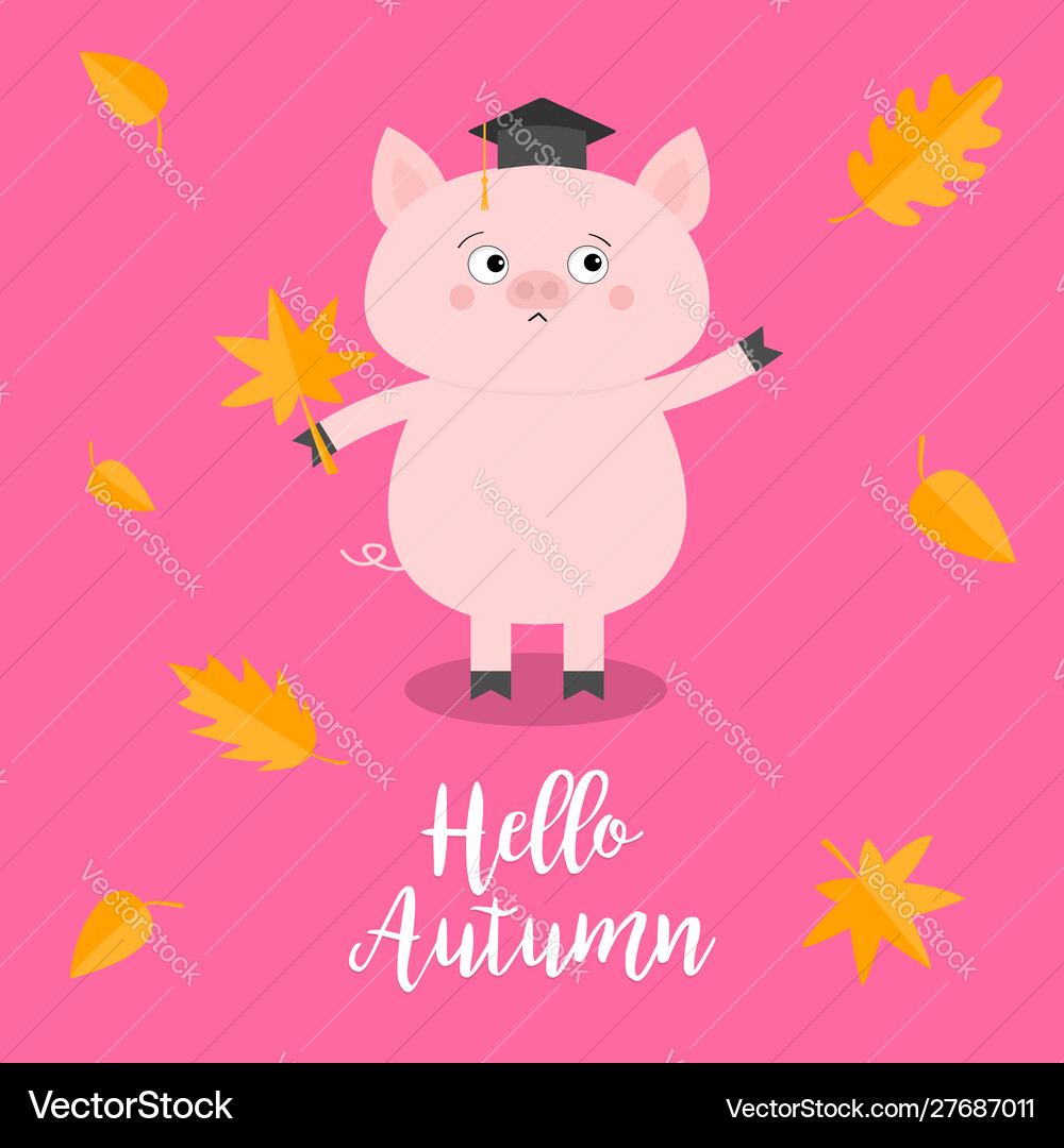 Hello autumn pig piglet graduation hat academic Vector Image