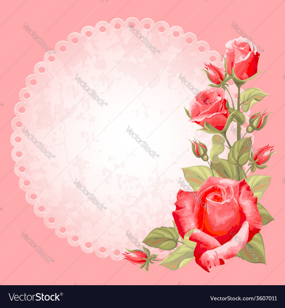 Rose background Royalty Free Vector Image - VectorStock