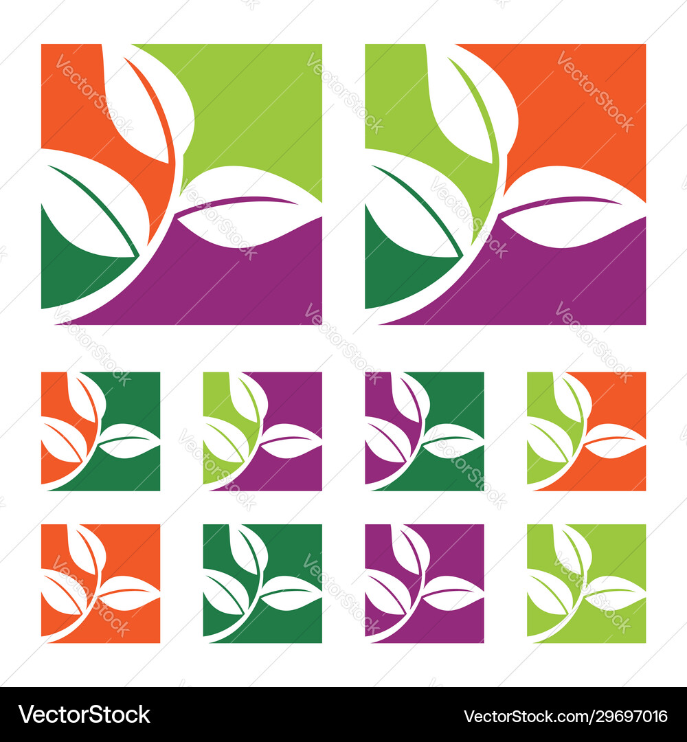 Set colorful leaves logo template design eps 10 Vector Image