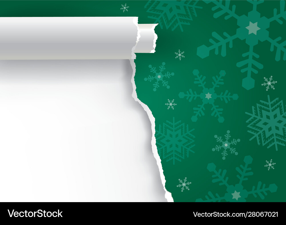 Christmas ripped paper background with snowflakes Vector Image