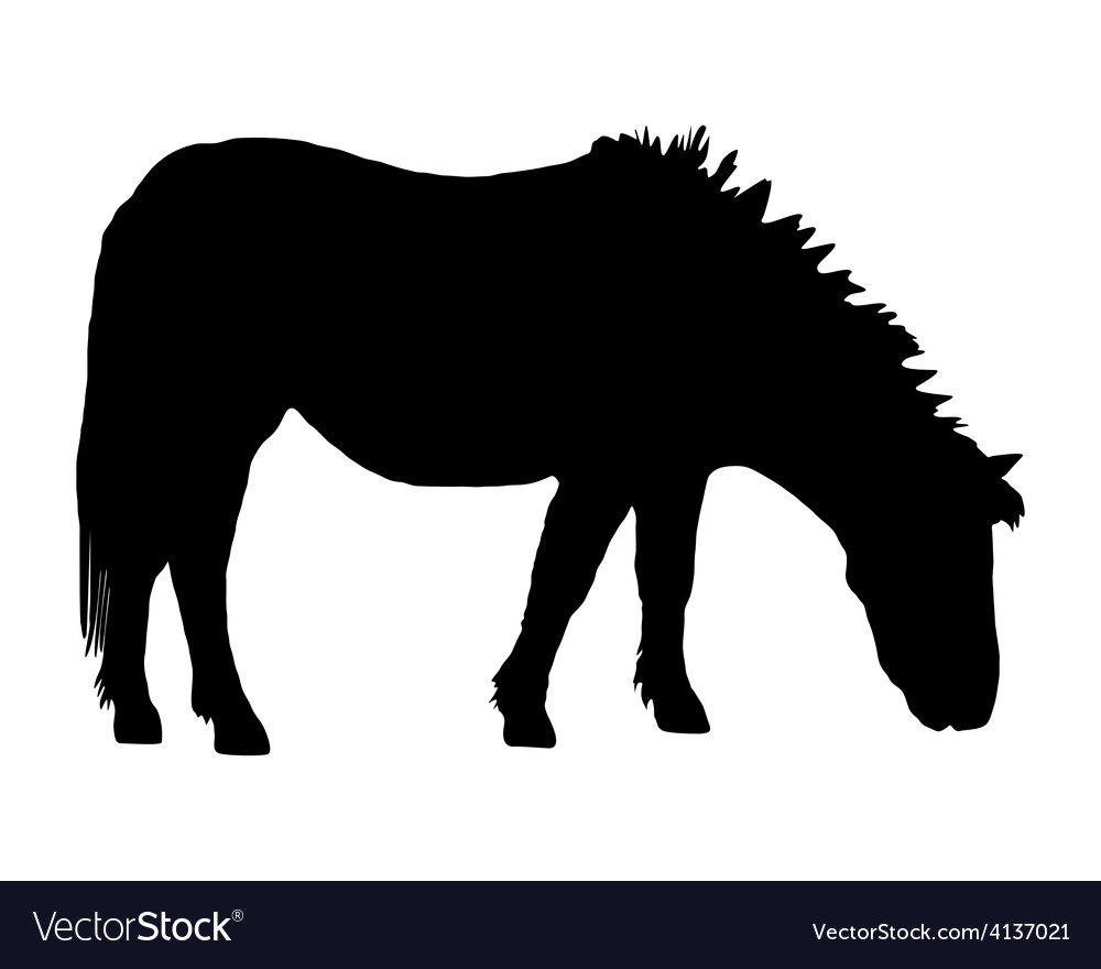 Pony grazing Royalty Free Vector Image - VectorStock