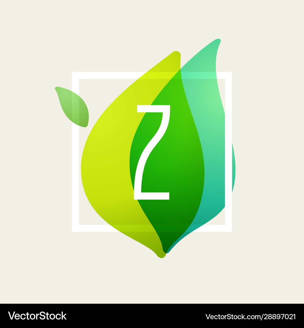 Z letter logo in square frame at green leaves Vector Image