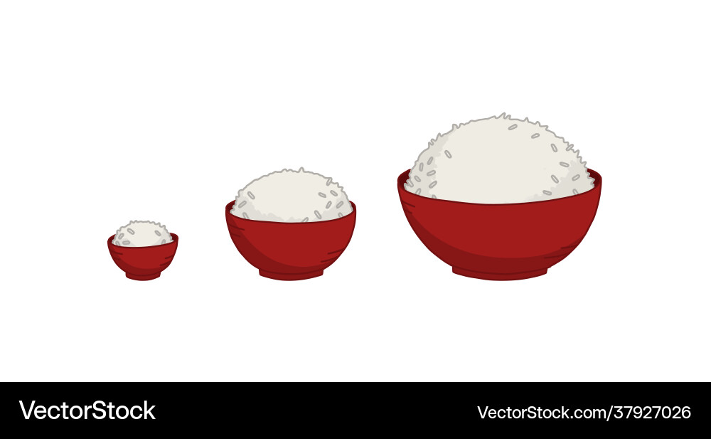 Set a plate rice size amount food small Royalty Free Vector