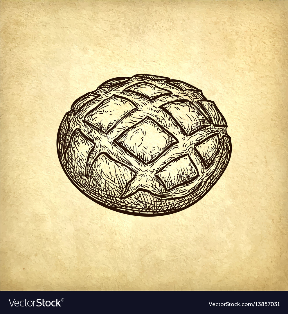 Rustic bread Royalty Free Vector Image - VectorStock