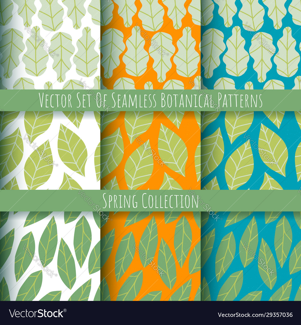 Set beautiful spring seamless patterns Royalty Free Vector