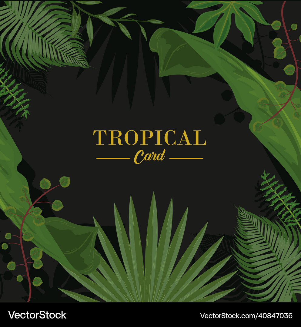 Tropical card with plants Royalty Free Vector Image