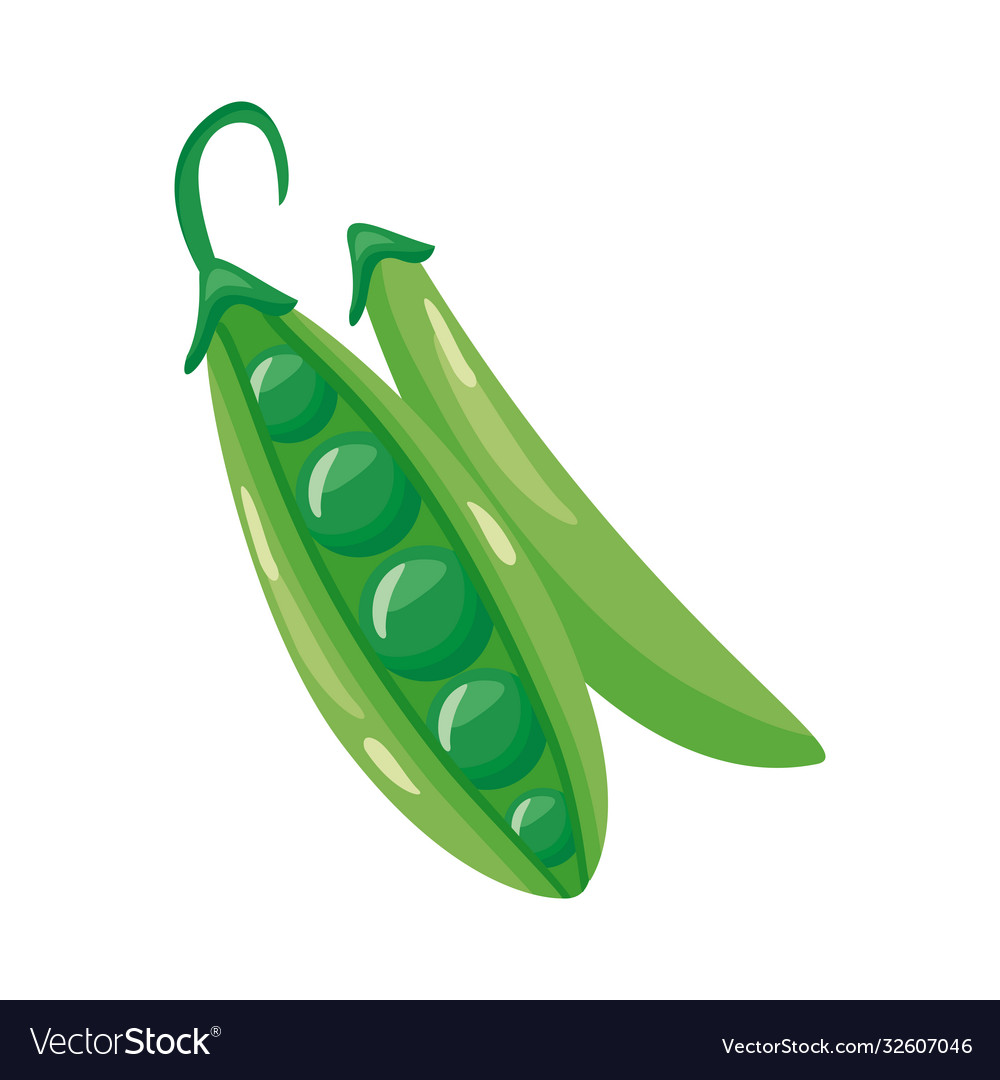 Pea healthy vegetable detailed style icon Vector Image