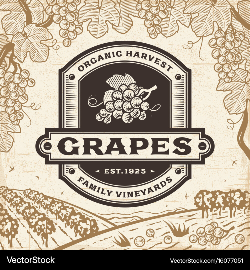 Retro grapes label on harvest landscape Royalty Free Vector