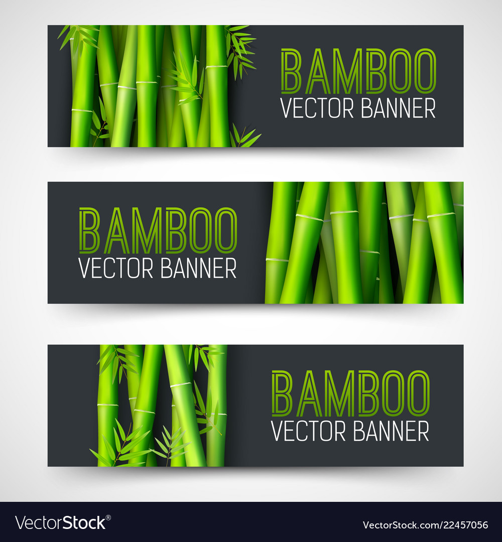 Bamboo banners concept intage art traditional Vector Image
