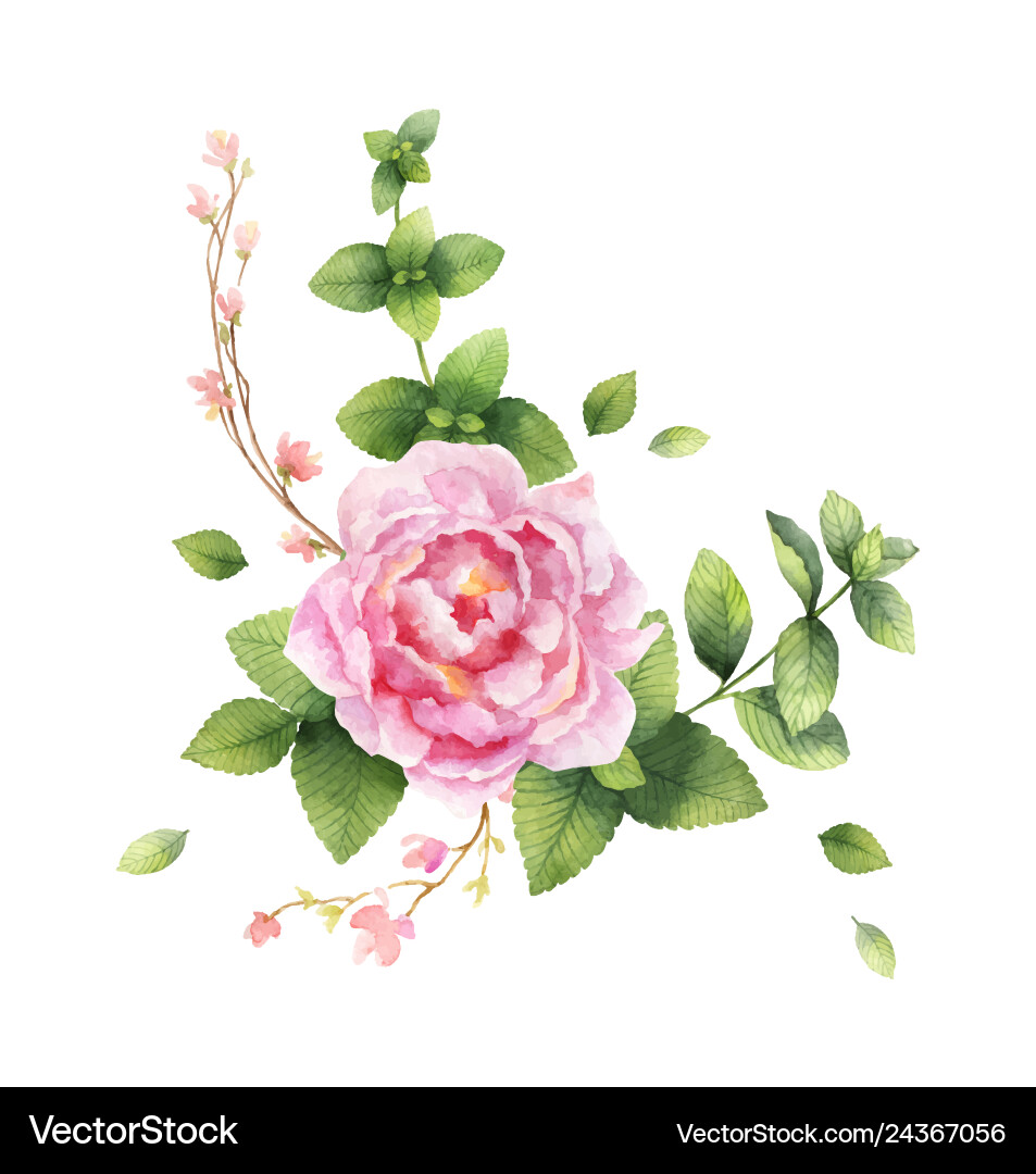 Watercolor hand painting Royalty Free Vector Image