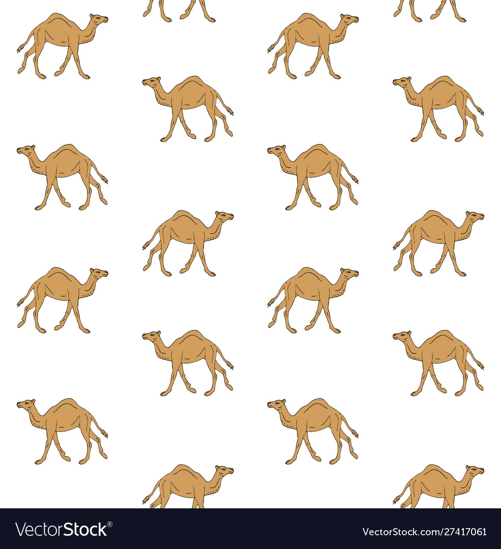 Seamless pattern hand drawn camel Royalty Free Vector Image
