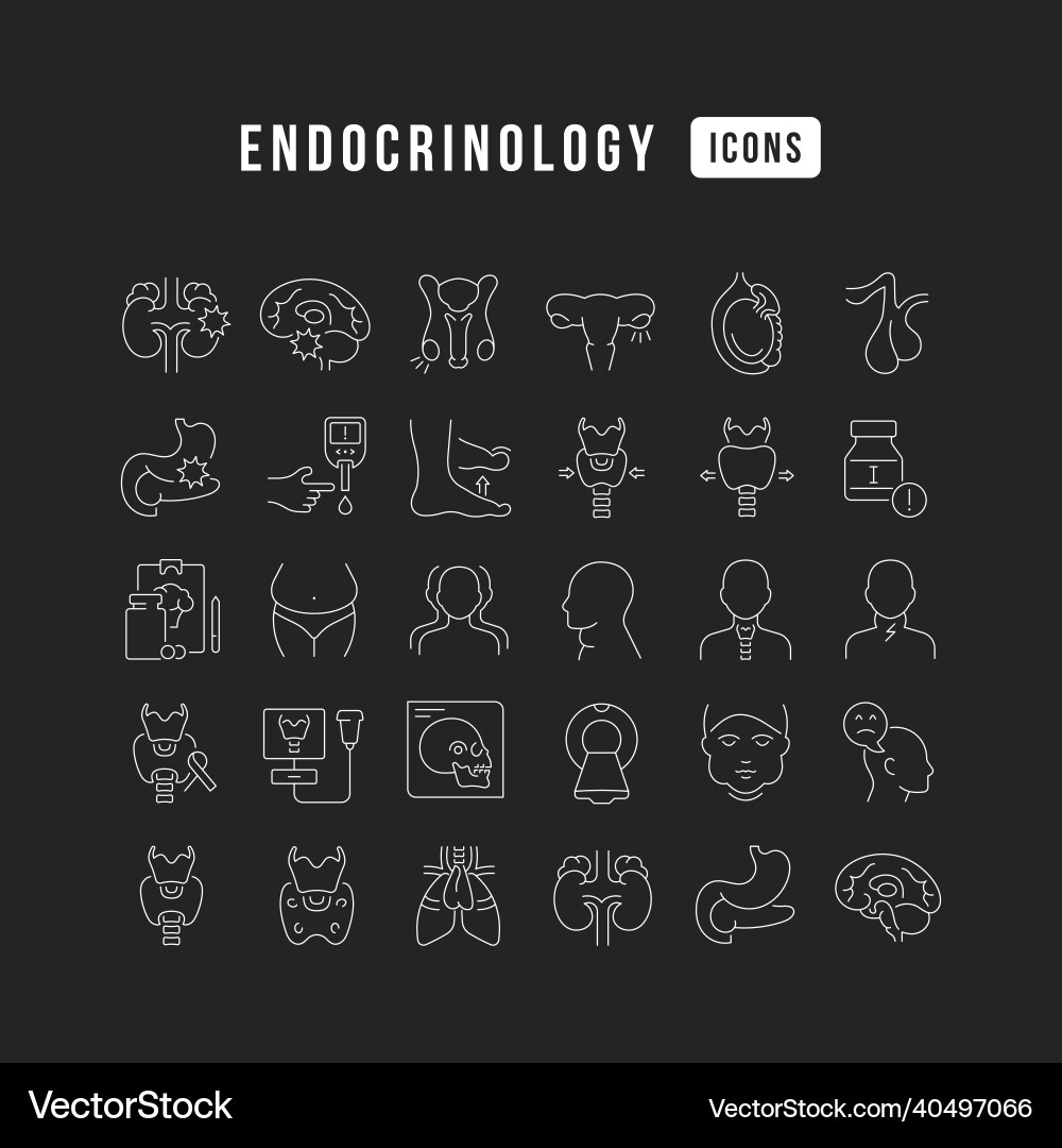 Set of linear icons endocrinology Royalty Free Vector Image