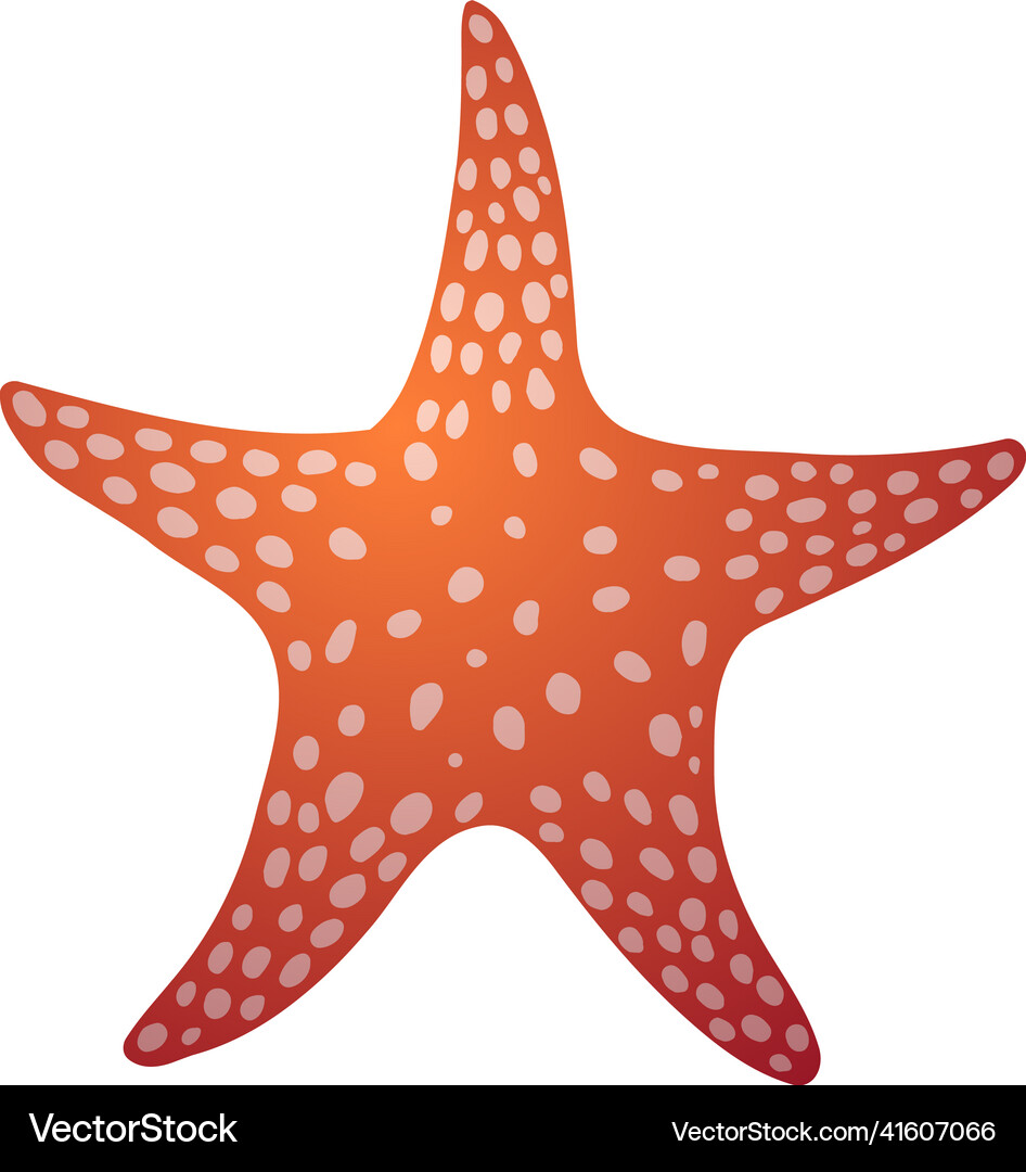 Starfish on white background Royalty Free Vector Image