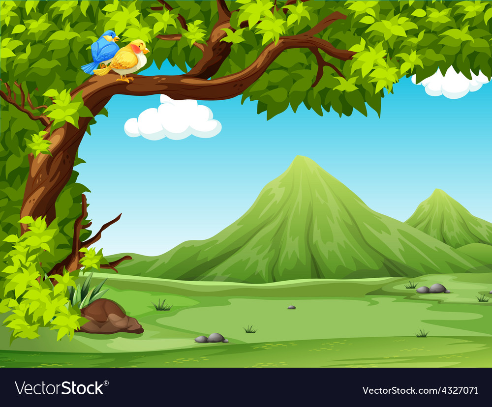 Field Royalty Free Vector Image - VectorStock