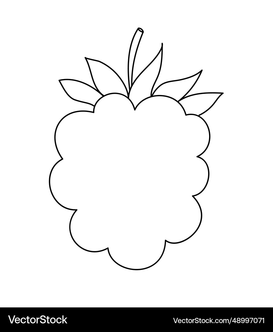 Hand drawn line raspberries fruit berries outline Vector Image