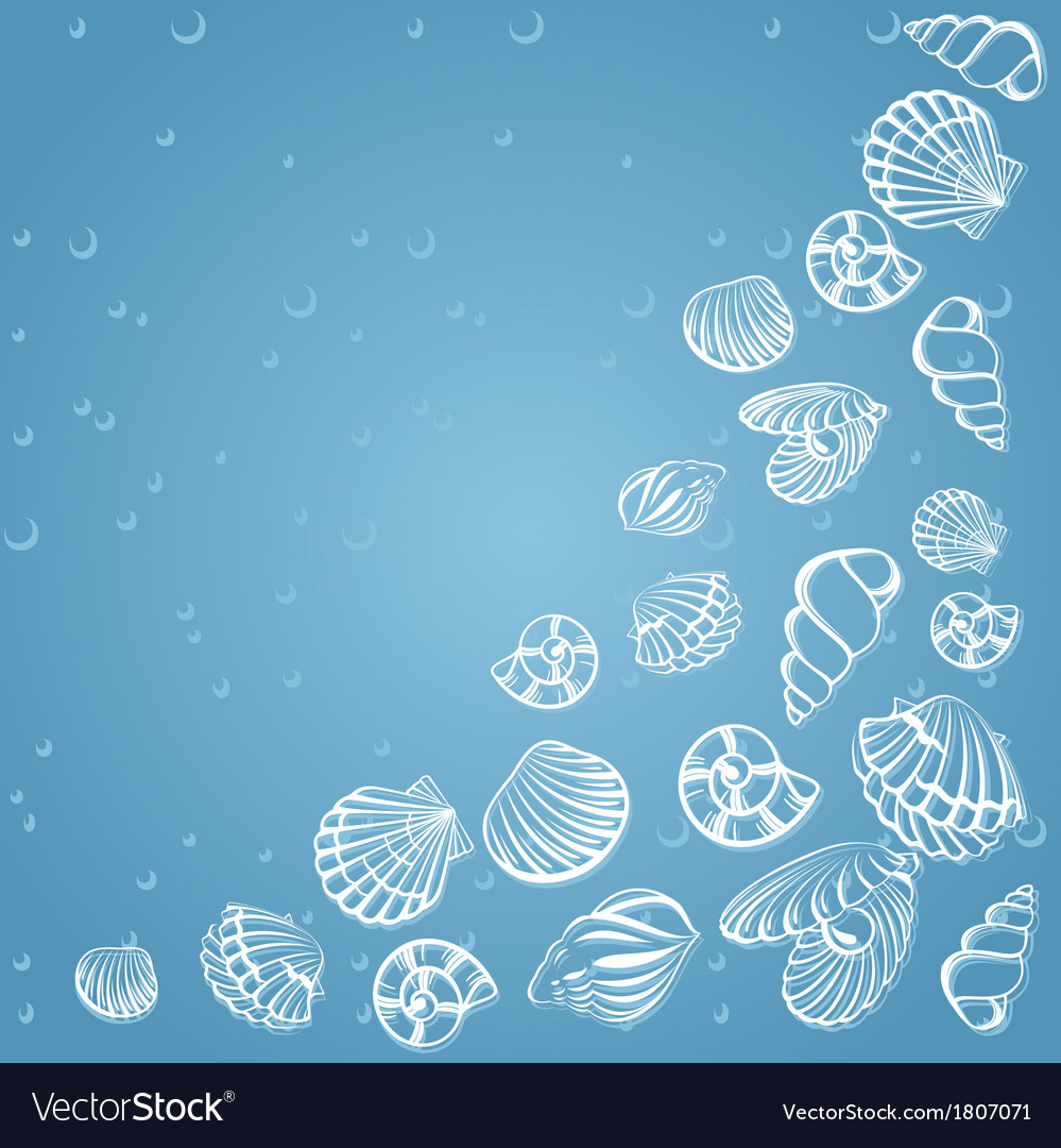 Seashell card Royalty Free Vector Image - VectorStock