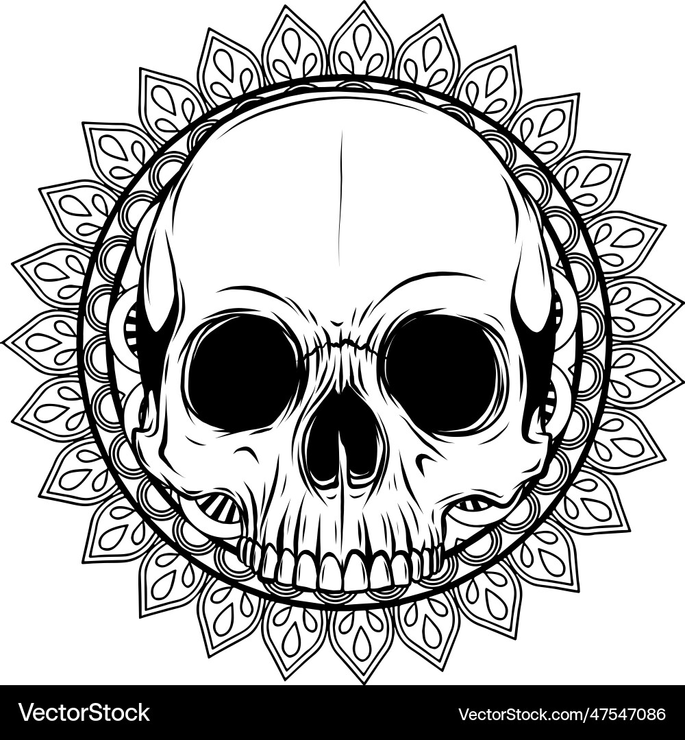 Of outline human skull design Royalty Free Vector Image