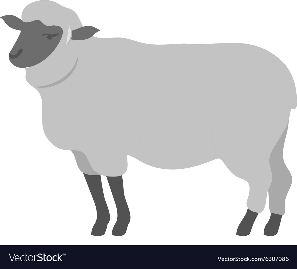 Sheep Royalty Free Vector Image - VectorStock