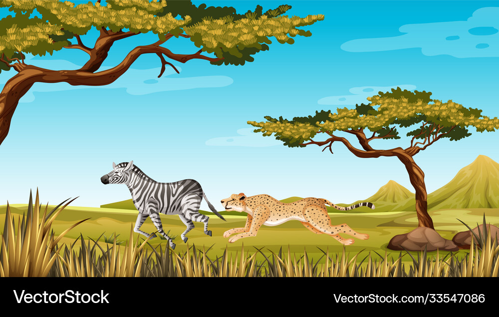 Wild animal running in nature Royalty Free Vector Image