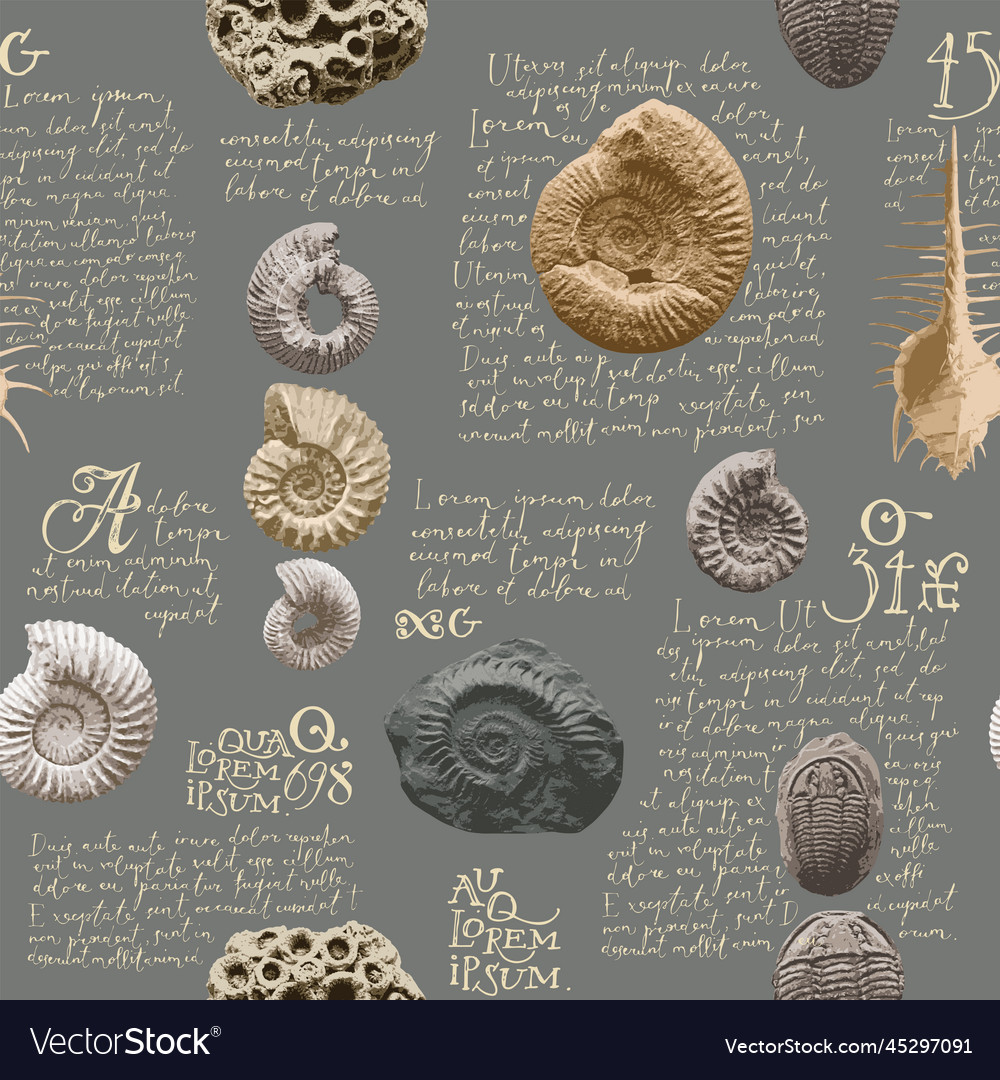 Seamless pattern with ancient ammonite shells Vector Image