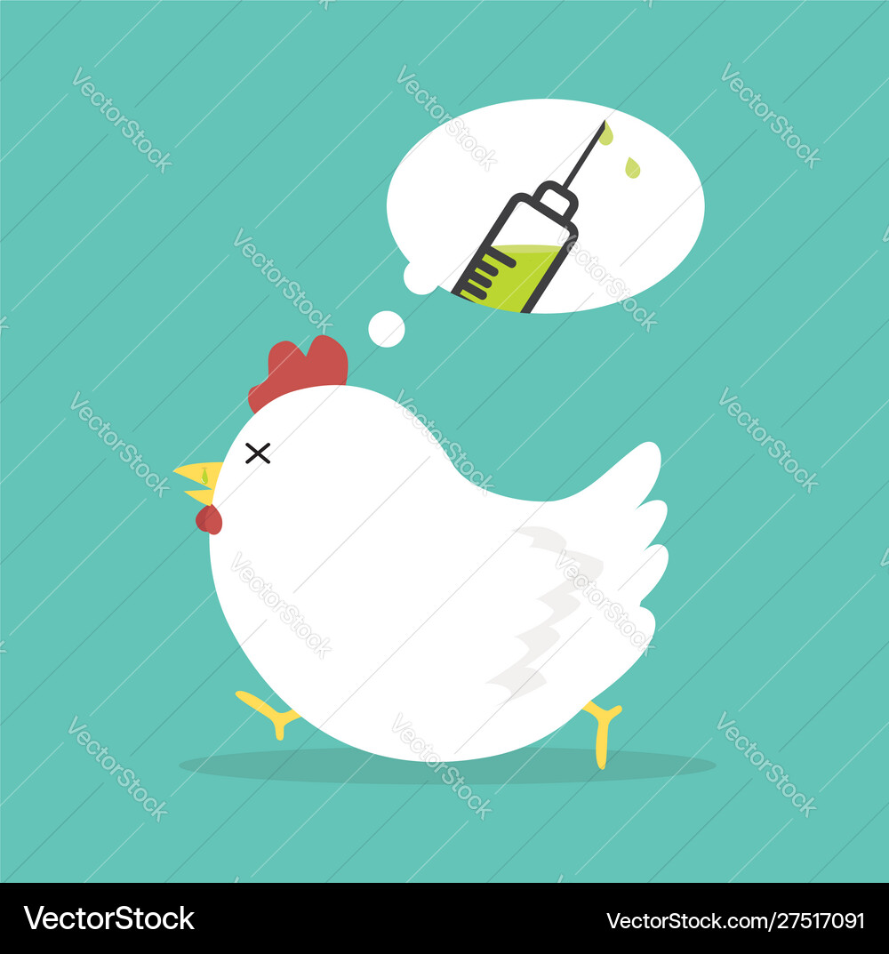 Sick chicken swine flu a vaccination Royalty Free Vector