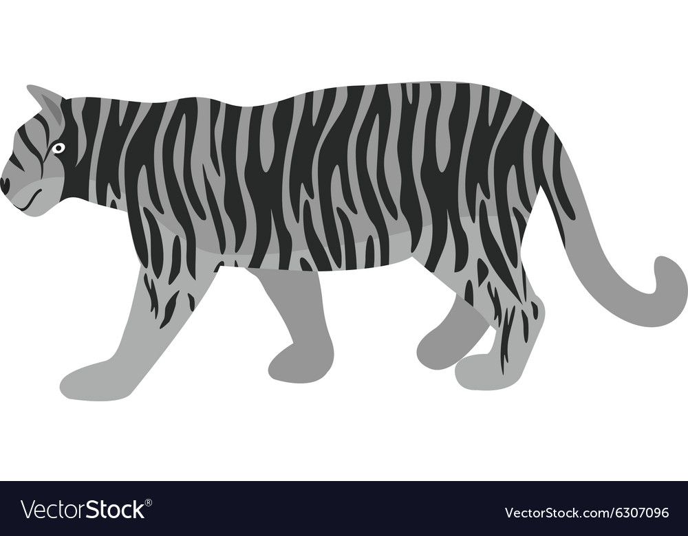 Tiger Royalty Free Vector Image - VectorStock