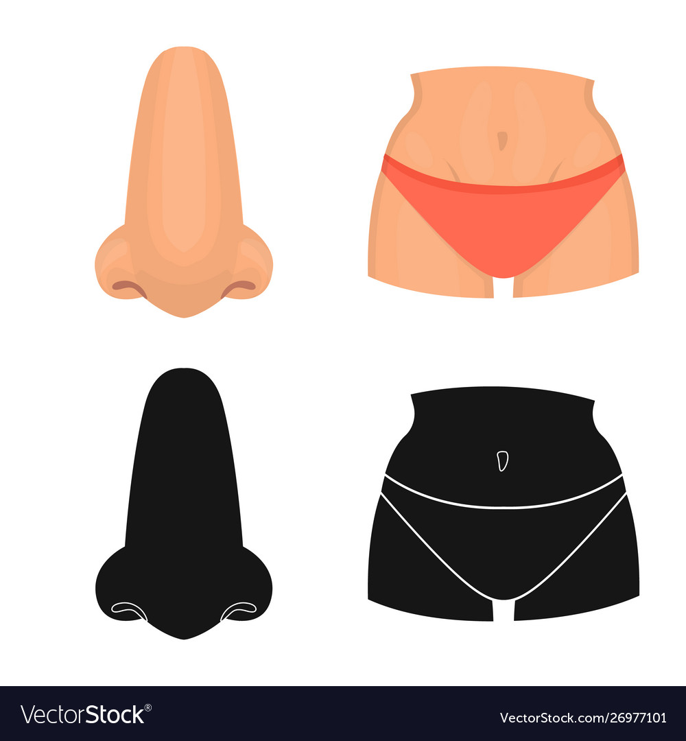 Isolated object body and part icon collection Vector Image Isolated object body and part icon collection Vector Image