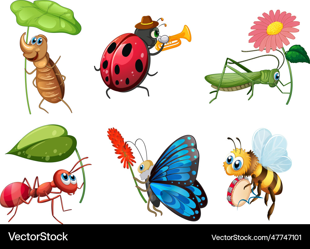 Set of various insect cartoon characters Vector Image
