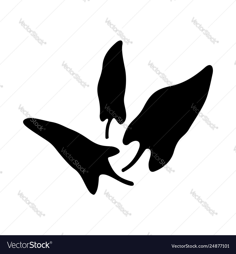 Spinach Royalty Free Vector Image - VectorStock Spinach Royalty Free Vector Image - VectorStock