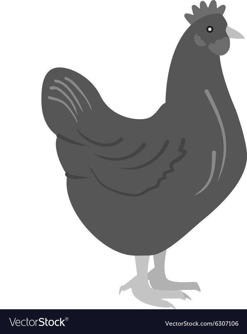 Chicken Royalty Free Vector Image - VectorStock
