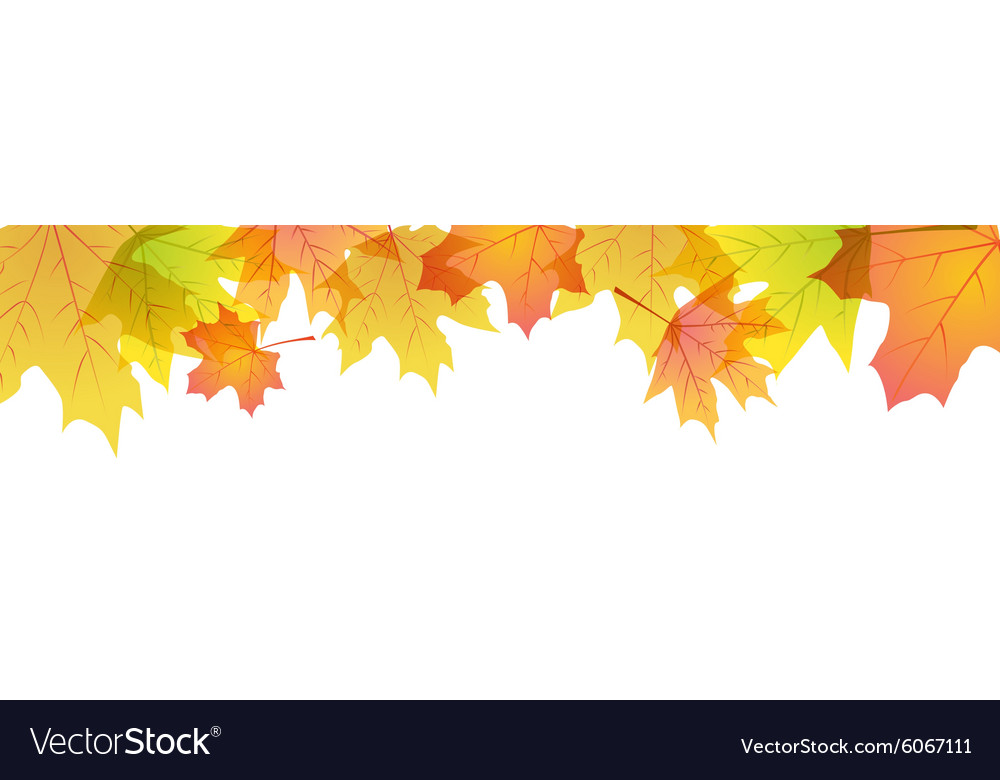 Maple leaves frame Royalty Free Vector Image - VectorStock