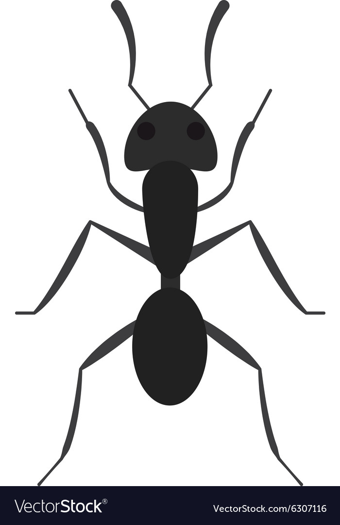 Ant Royalty Free Vector Image - VectorStock