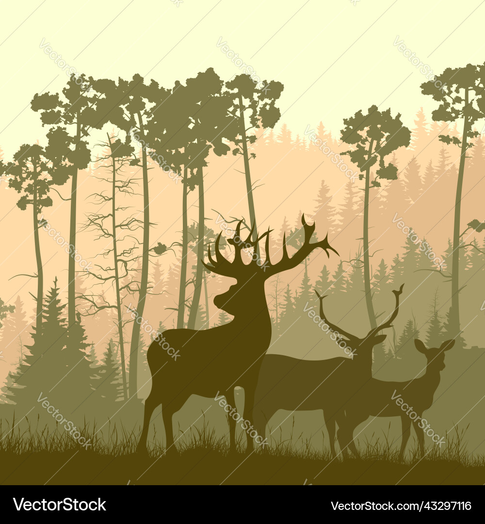Square of wild elk on edge forest Royalty Free Vector Image