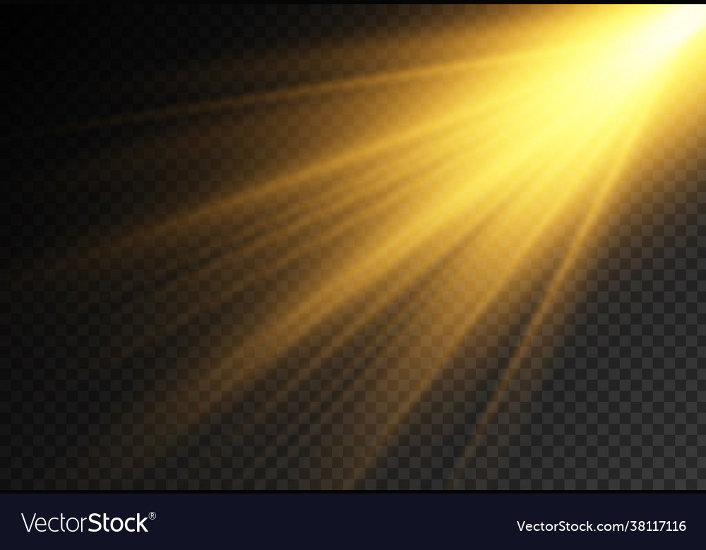 Sunlight with bright explosion rays light Vector Image