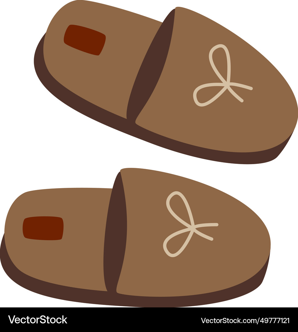House slippers footwear Royalty Free Vector Image