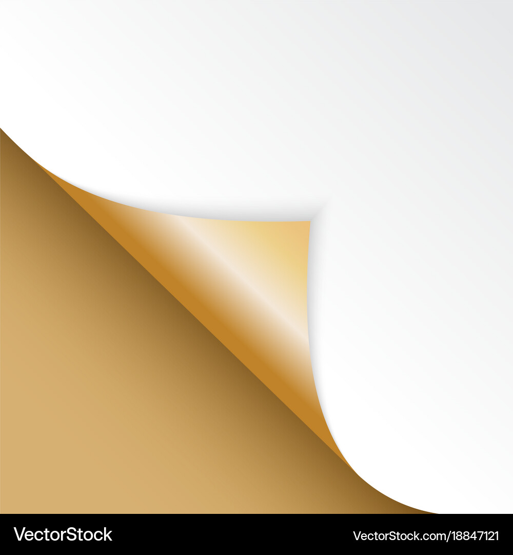 Shape bent angle is free for filling gold color Vector Image