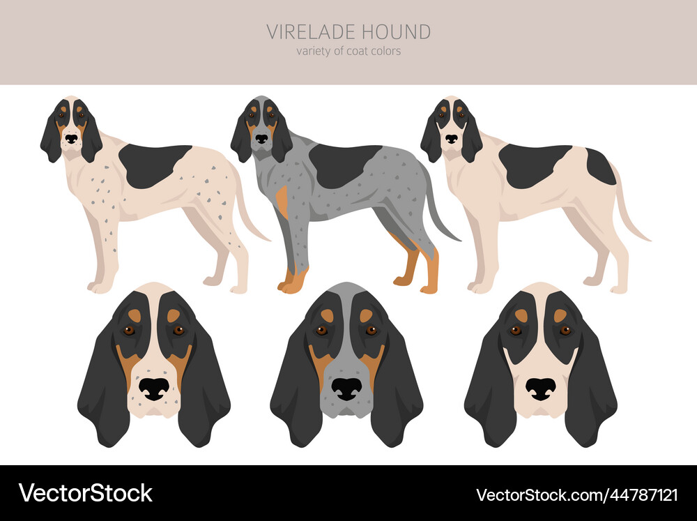Virelade hound clipart all coat colors set Vector Image