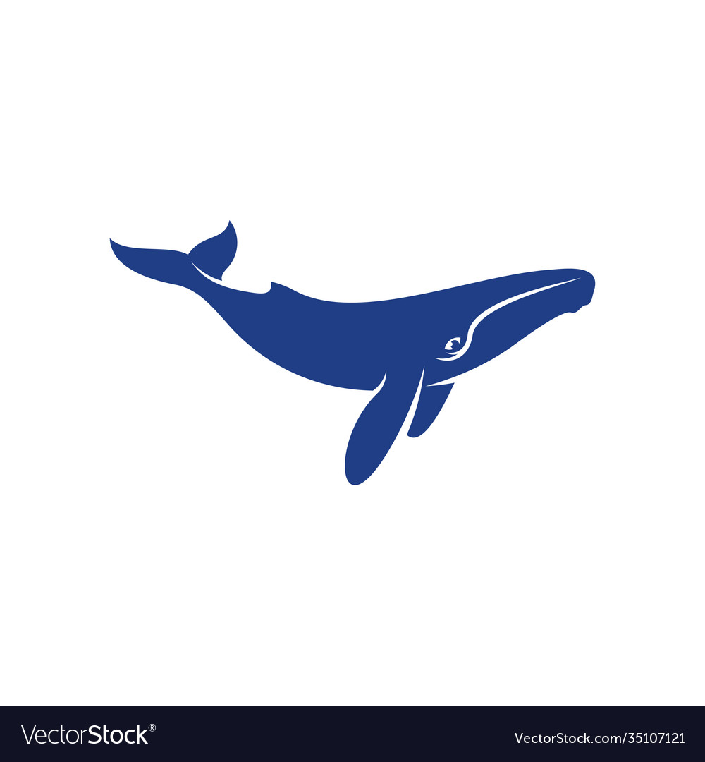 Whale design creative template Royalty Free Vector Image