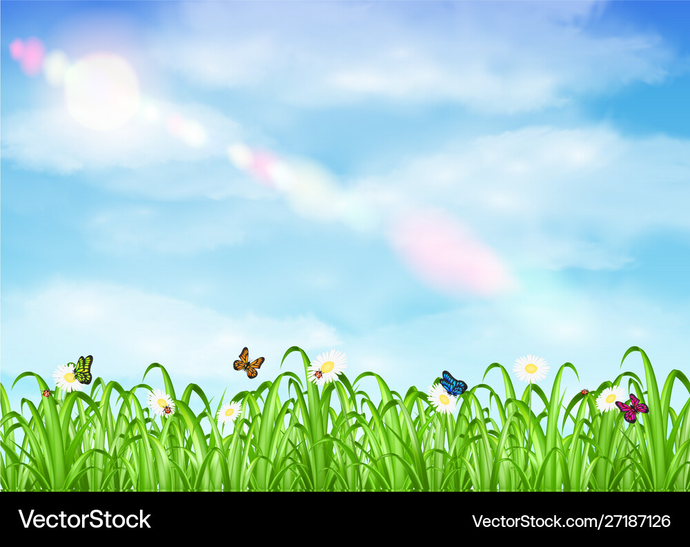Grass with flower and butterfly ladybug sky Vector Image
