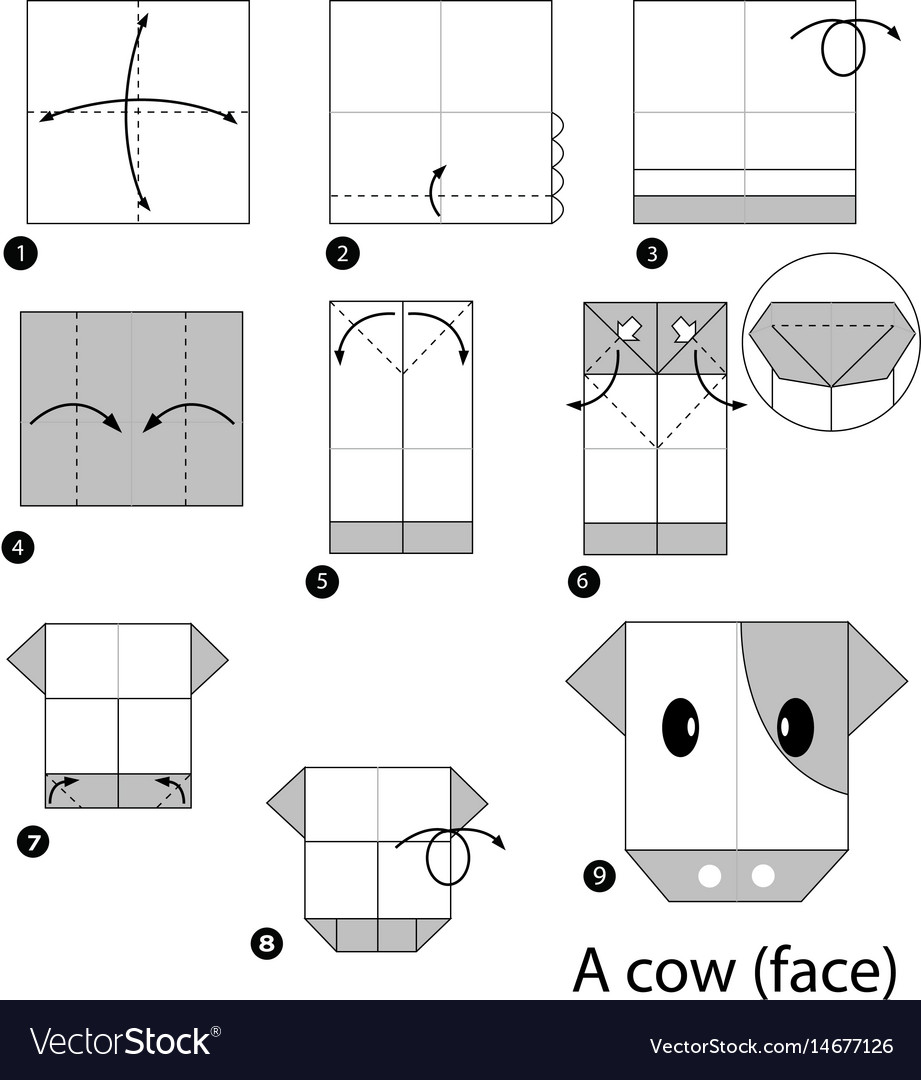 Step by instructions how to make origami Vector Image
