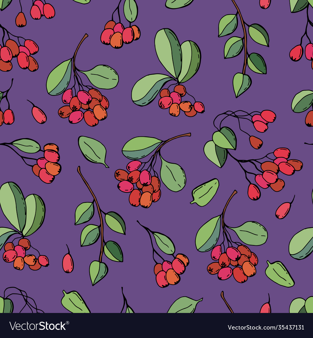Berry seamless pattern Royalty Free Vector Image