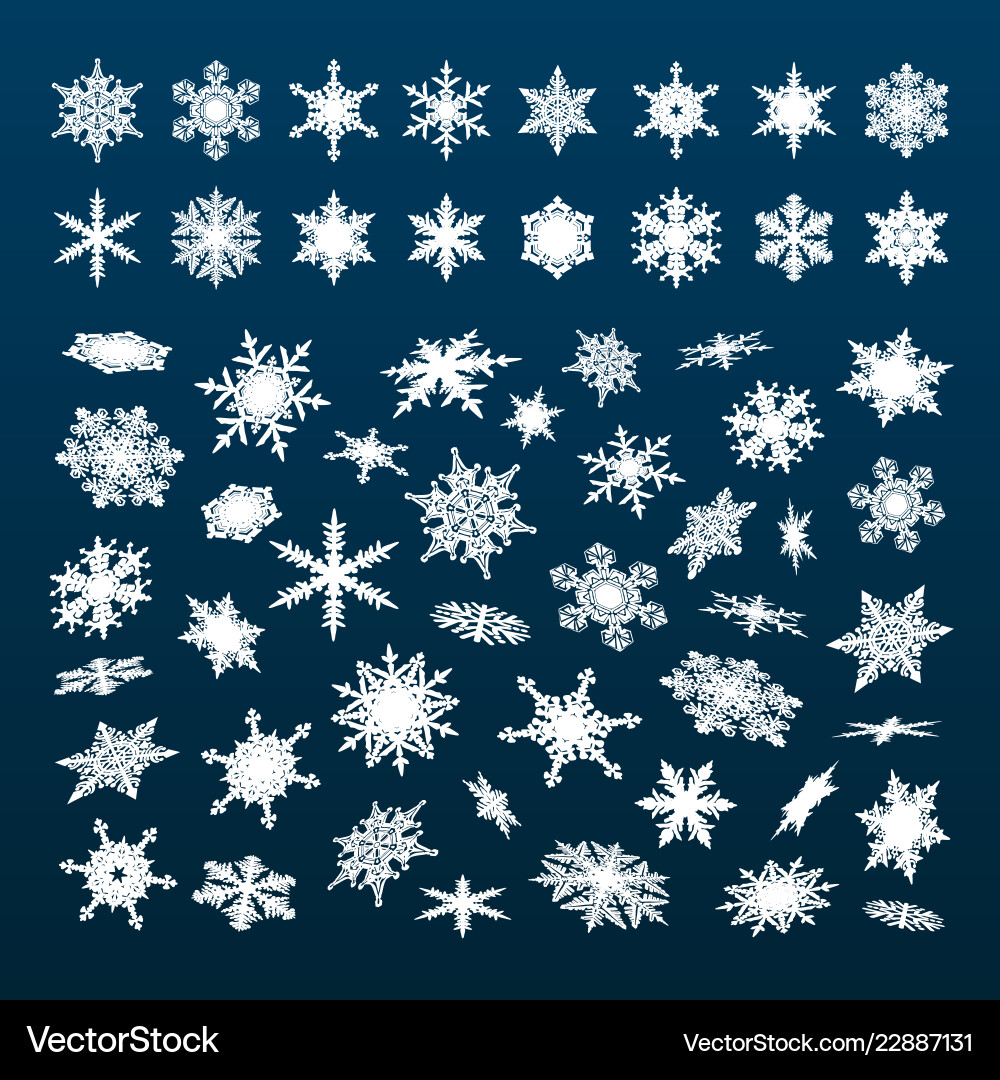 Big set of white snowflakes falling in different Vector Image