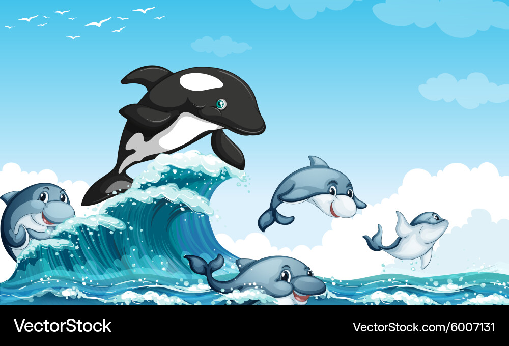 Dolphines swimming in the ocean Royalty Free Vector Image