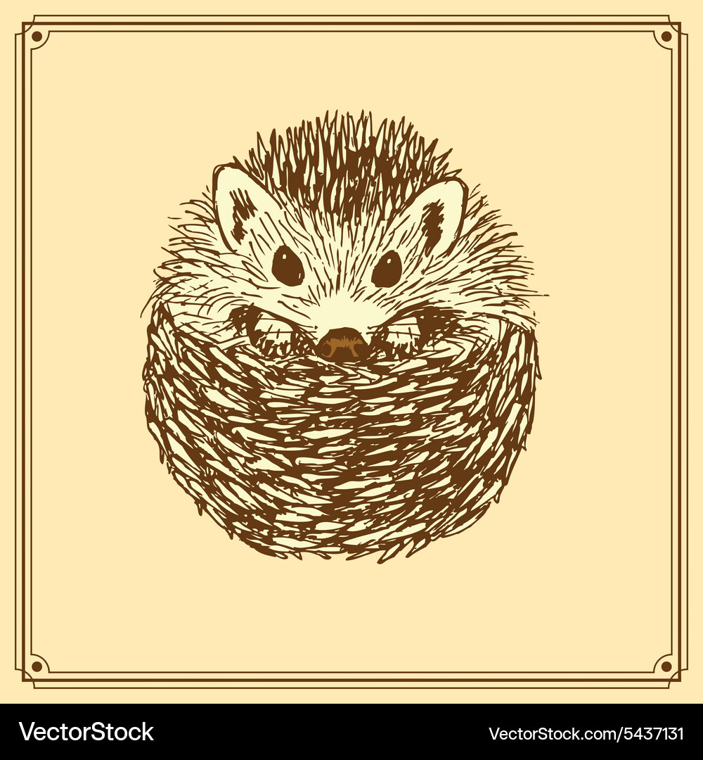 Cute Hedgehogs Drawing