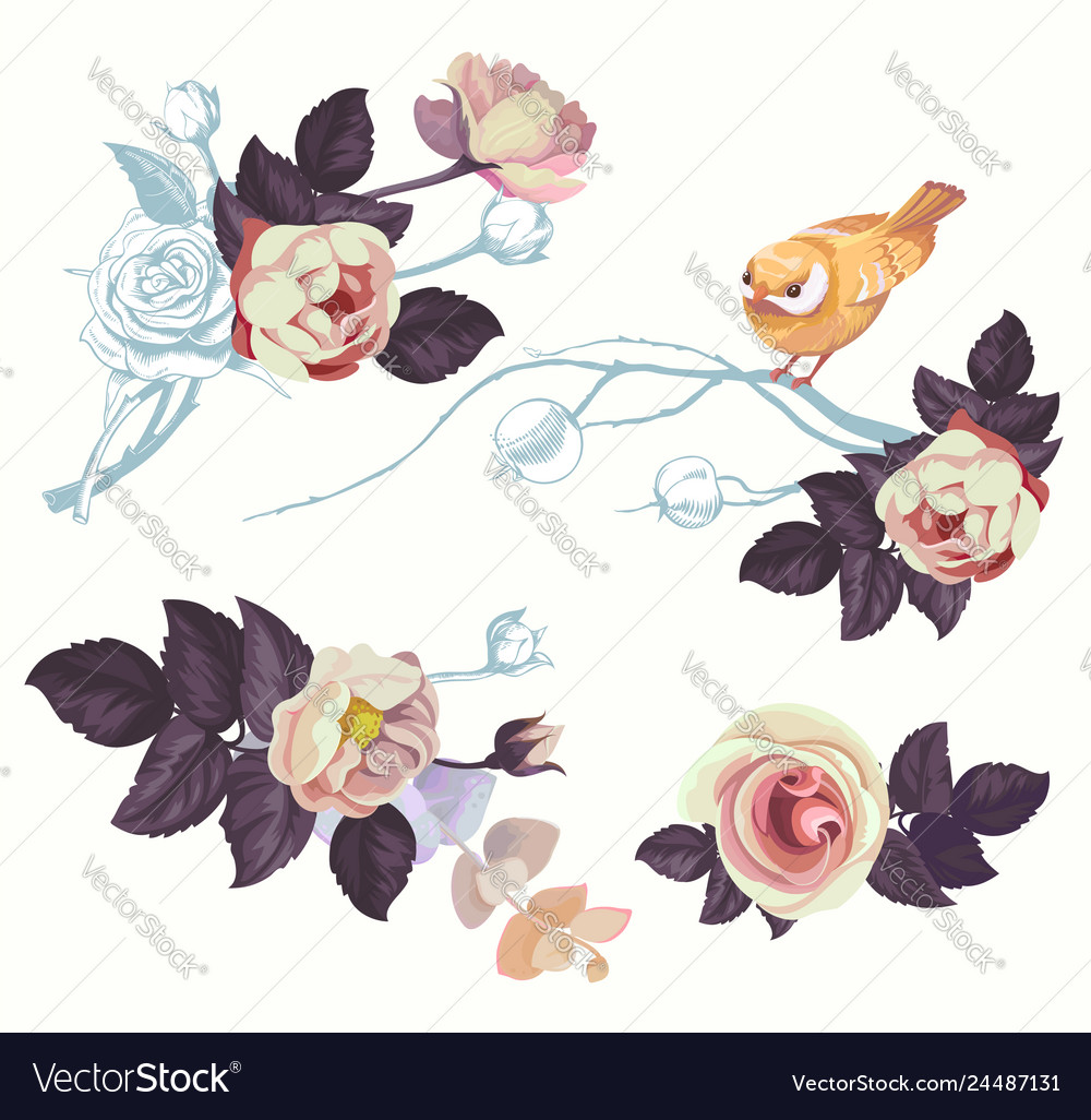 Spring bird flower branch watercolor decoration Vector Image