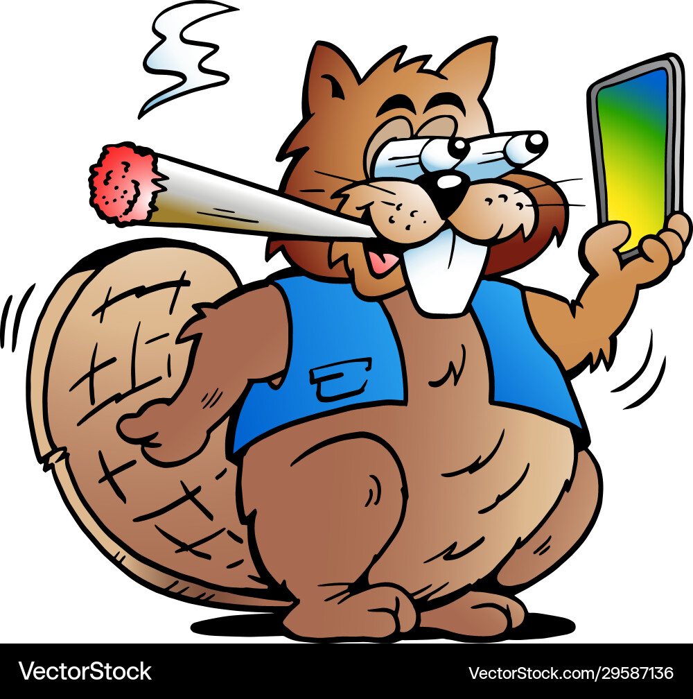 Cartoon a cool beaver smoking joint Royalty Free Vector