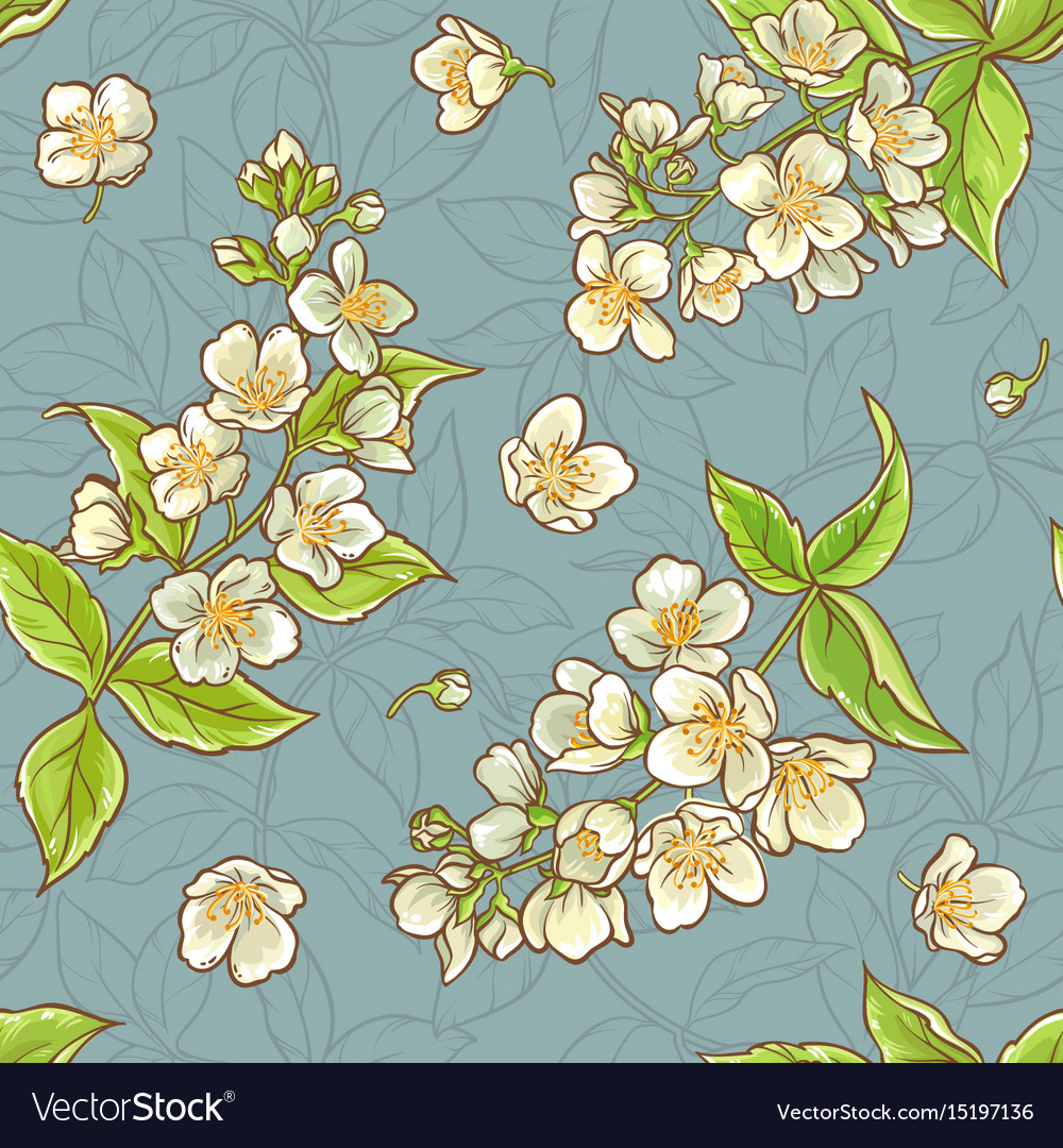 Jasmine seamless pattern Royalty Free Vector Image