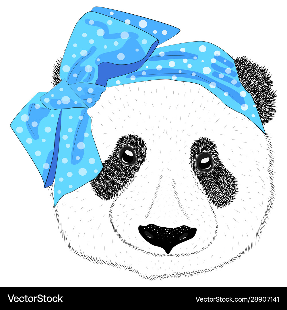 A hand drawn head panda girl Royalty Free Vector Image