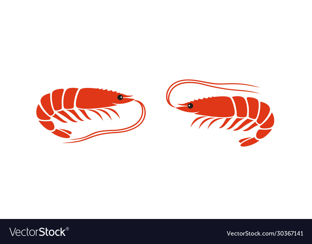 Shrimp Royalty Free Vector Image - VectorStock