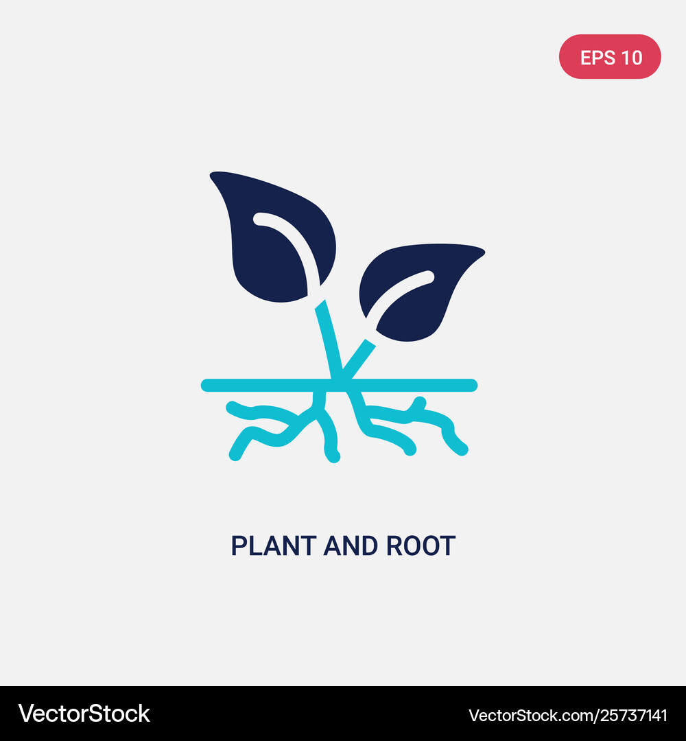 Two color plant and root icon from ecology Vector Image